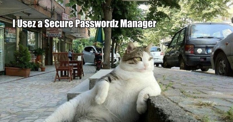 Pass, gestiona tus contraseñas desde el terminal