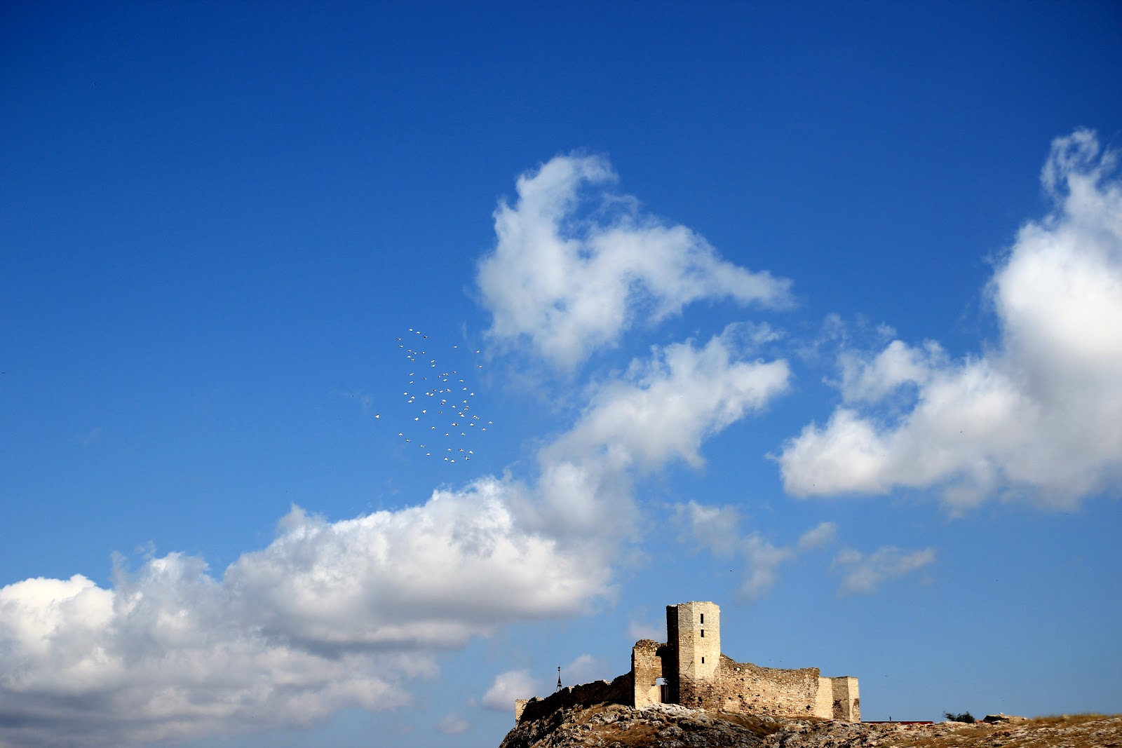 Călător anonim,: Sarichioi, Tulcea