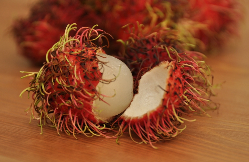 Verbena&Levendula: Rambután, a Licsi rokona