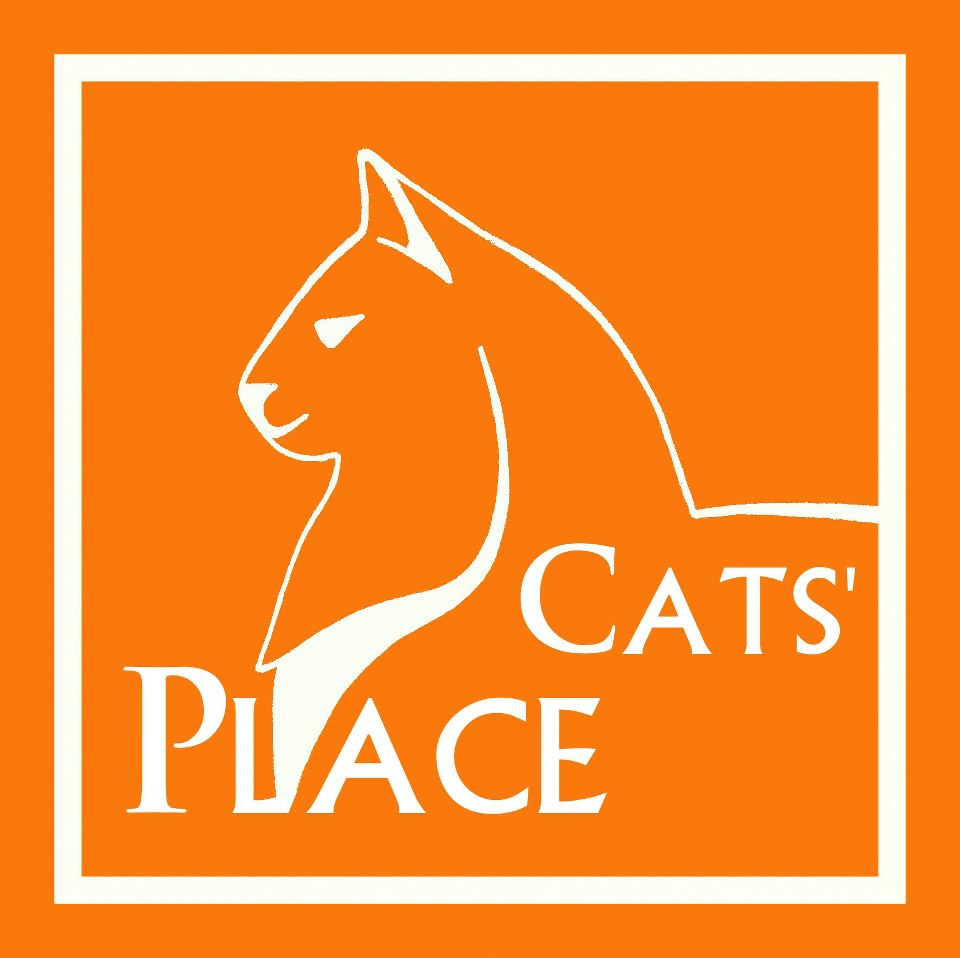 Boreas Land: CATS' PLACE - A sua loja, só para gatos