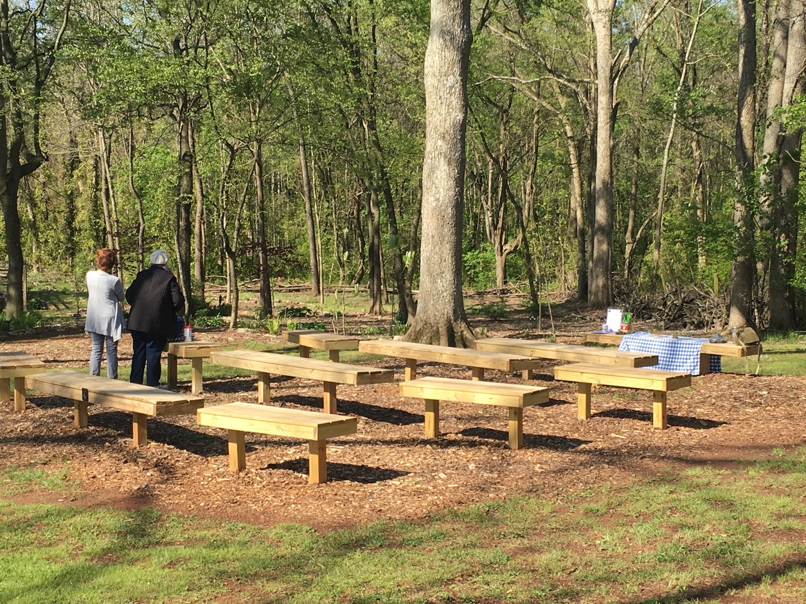 Green Meadows Preserve Blue Bird Trail: 2018