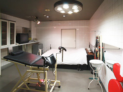 Alpha-Inn, Tokyo: The World's only BDSM Hotel | 11dutch on femdom: true ...