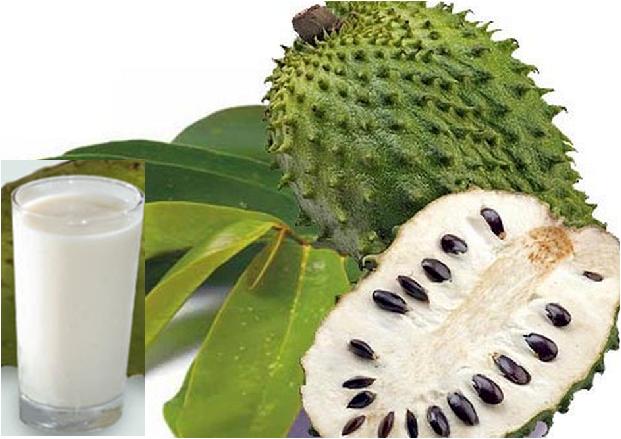 Cara Mengolah Sirsak untuk Kesegaran Tubuh dan Terapi Kanker - Kuat ...