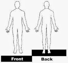 Happy in Hainesport: Body Maps