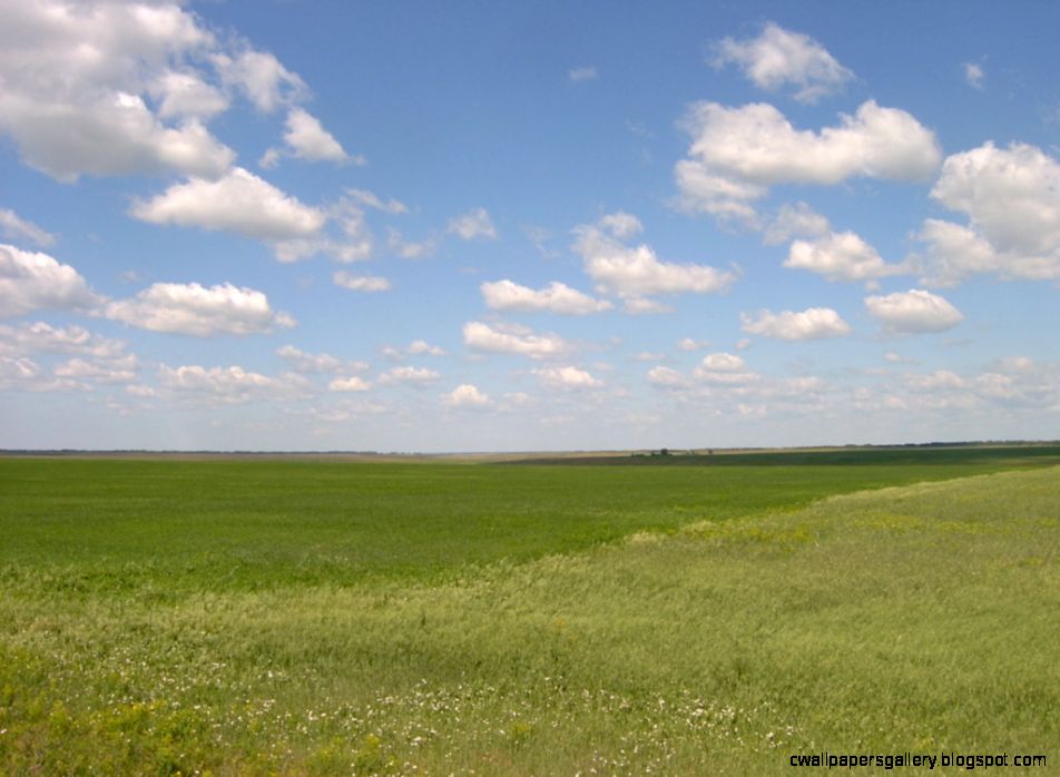Steppe Grasslands | Wallpapers Gallery