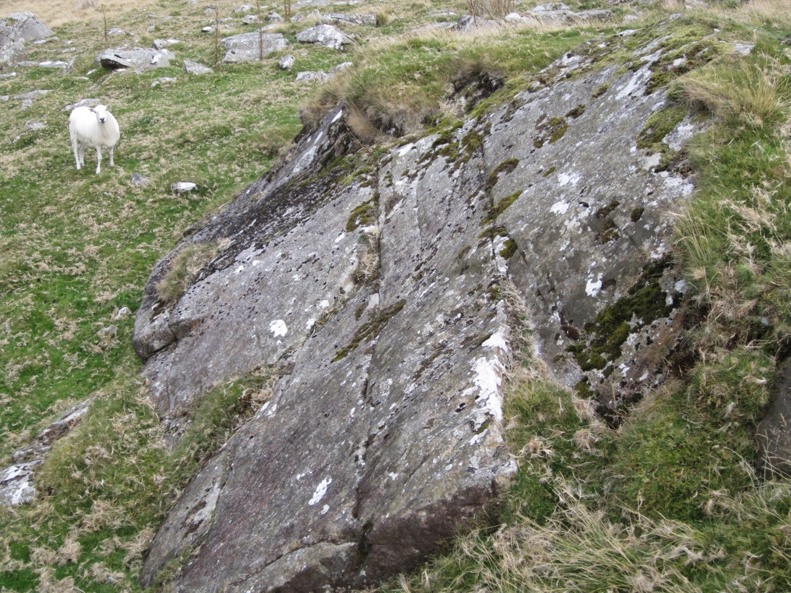 Stonehenge and the Ice Age: Glacial features on the Carn Goedog sill ...