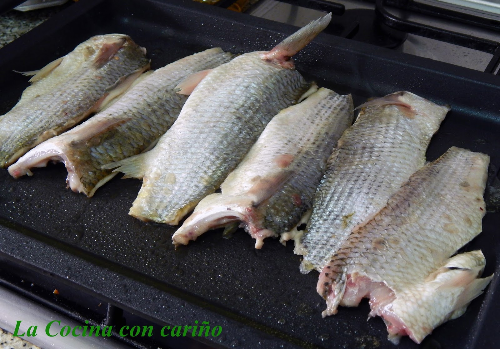 LISAS O ALBURES A LA ESPALDA CON AJADA