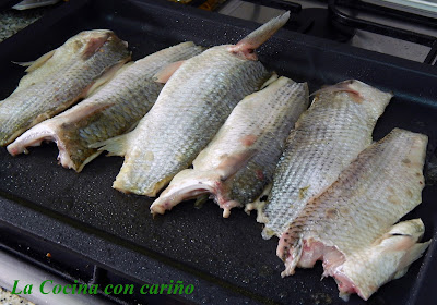 LISAS O ALBURES A LA ESPALDA CON AJADA