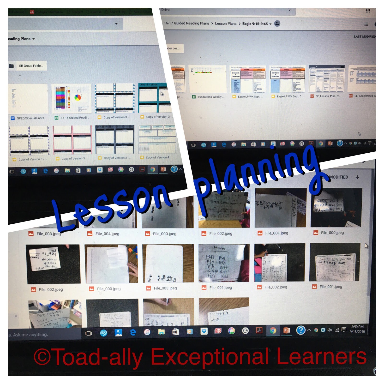 Toad-ally Exceptional Learners: September Show and Tell