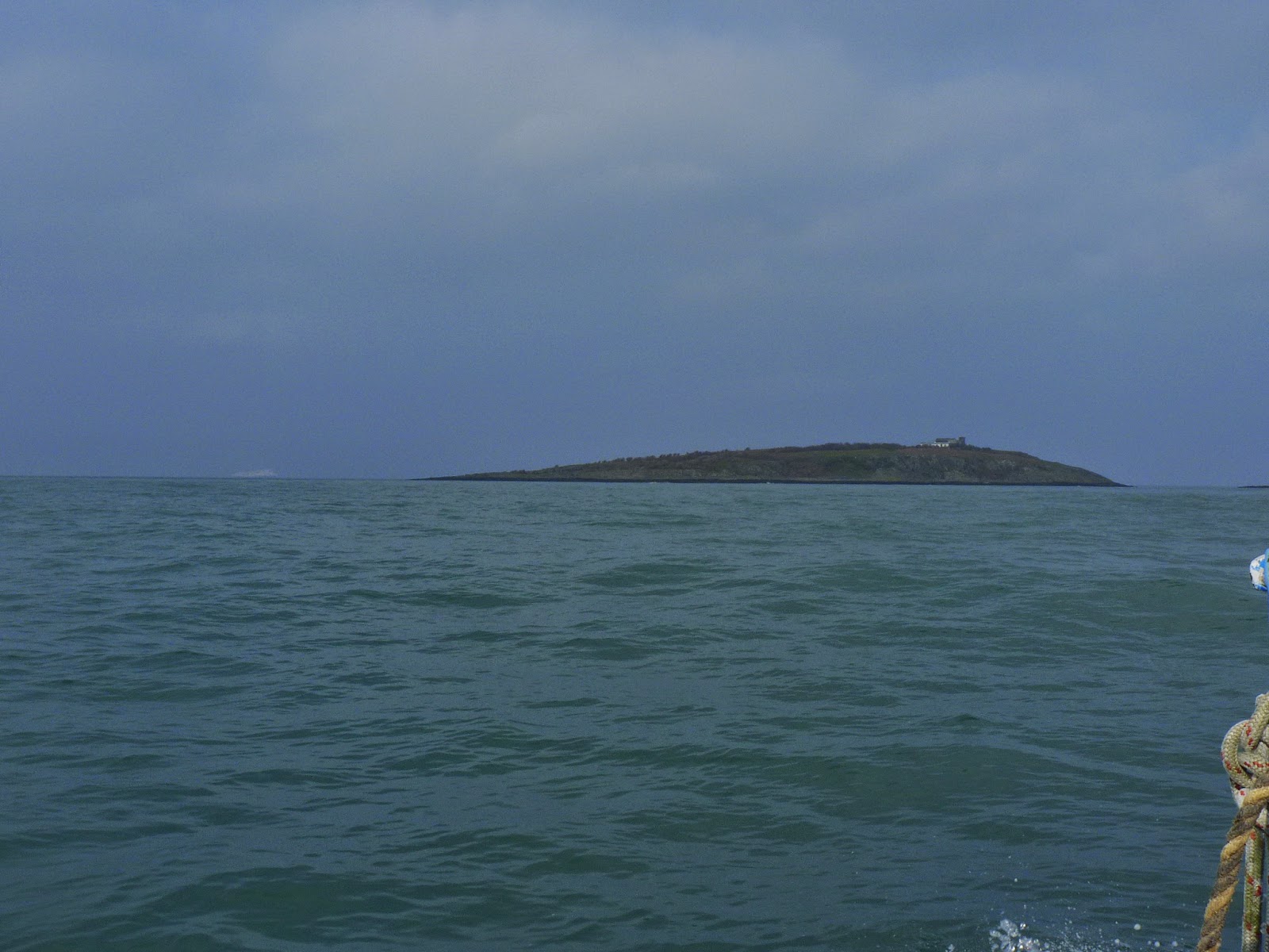 Birding For Pleasure: Copeland Island Visited in March