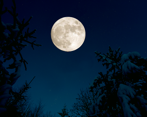 Beyond the Fields We Know: The Hunger Moon of February