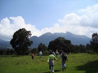 Tourisme au Mexique: volcán del xitle xitle