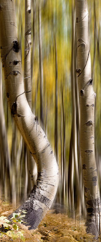 Art-Monie: Jerry Berry "Photographe"