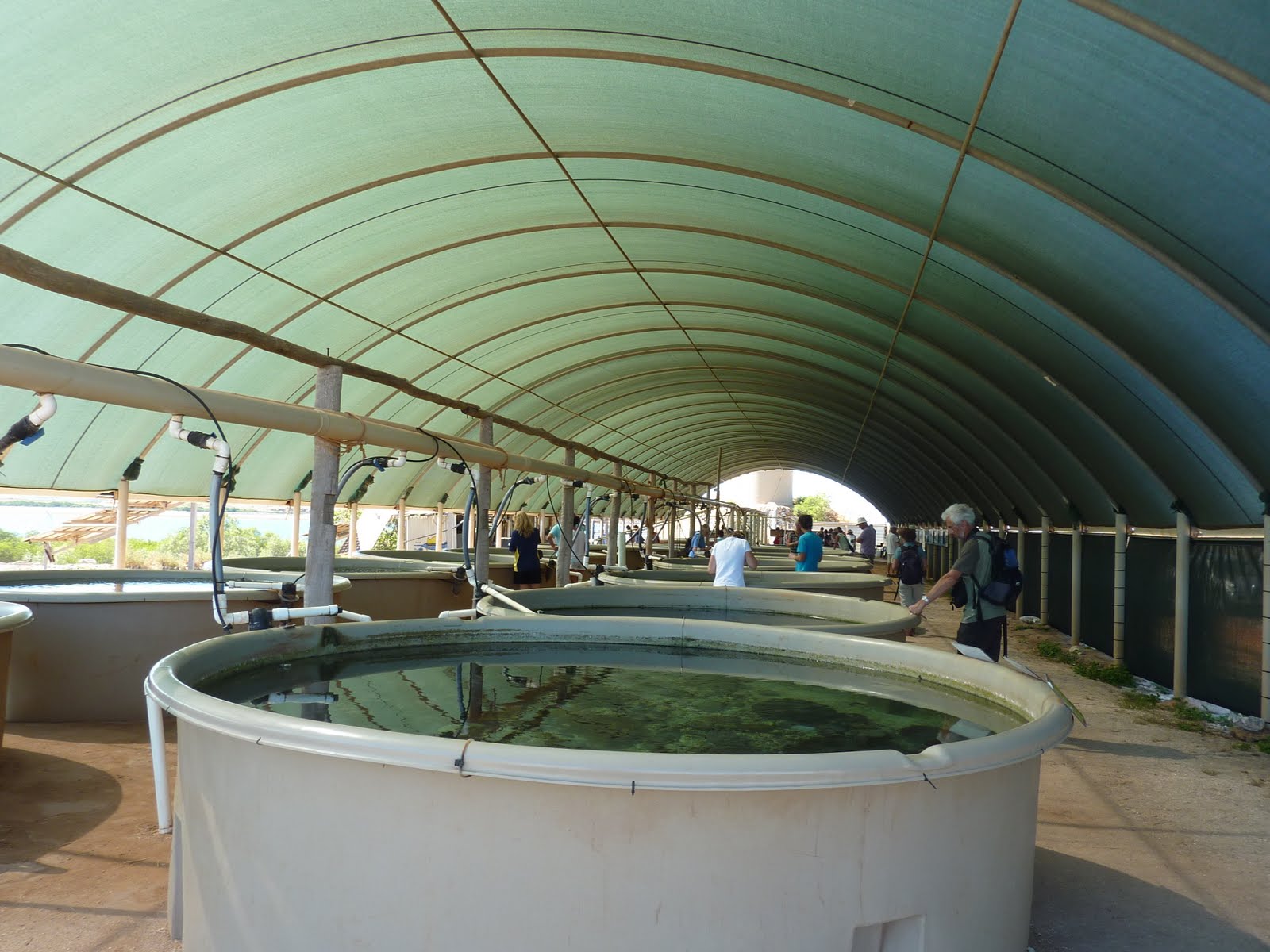 Al & Chris Stevenson: Gambanan ( One Arm Point ) to Quondong Pt ...