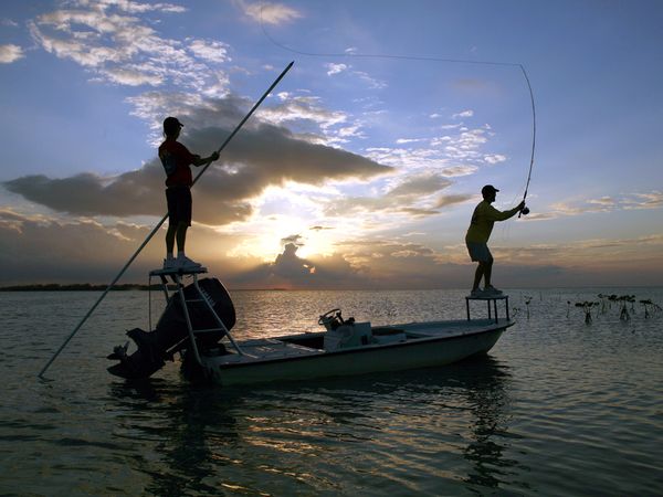 Wines Down South: FISHING IN THE KEYS WITH TED WILLIAMS