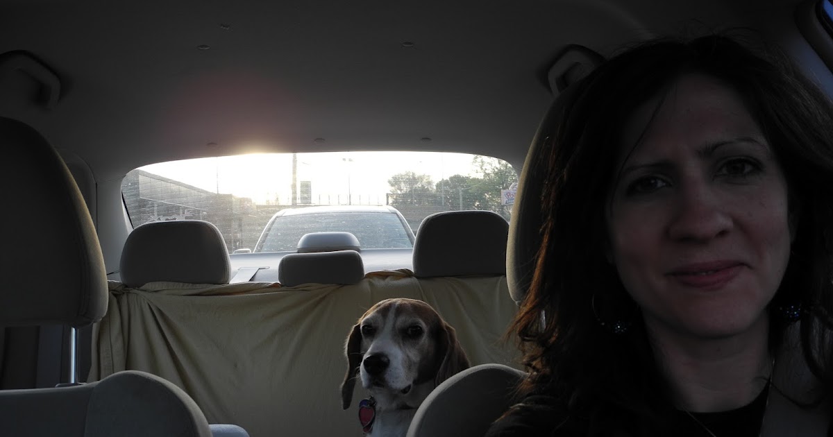 One Girl and One Beagle's Scheibler Treasure Hunt: 1330 - 1366 Singer ...