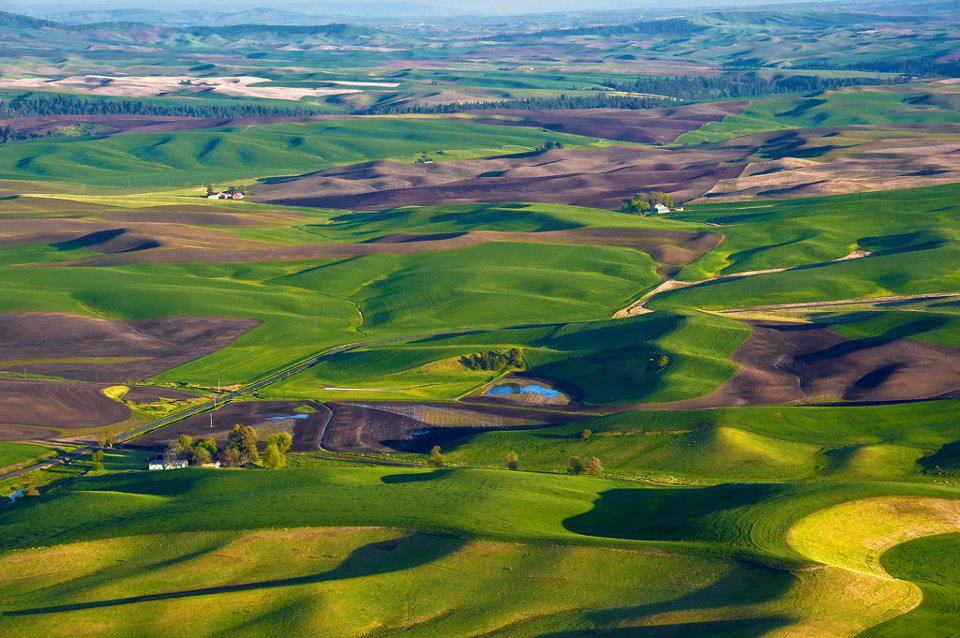 Everything Washington