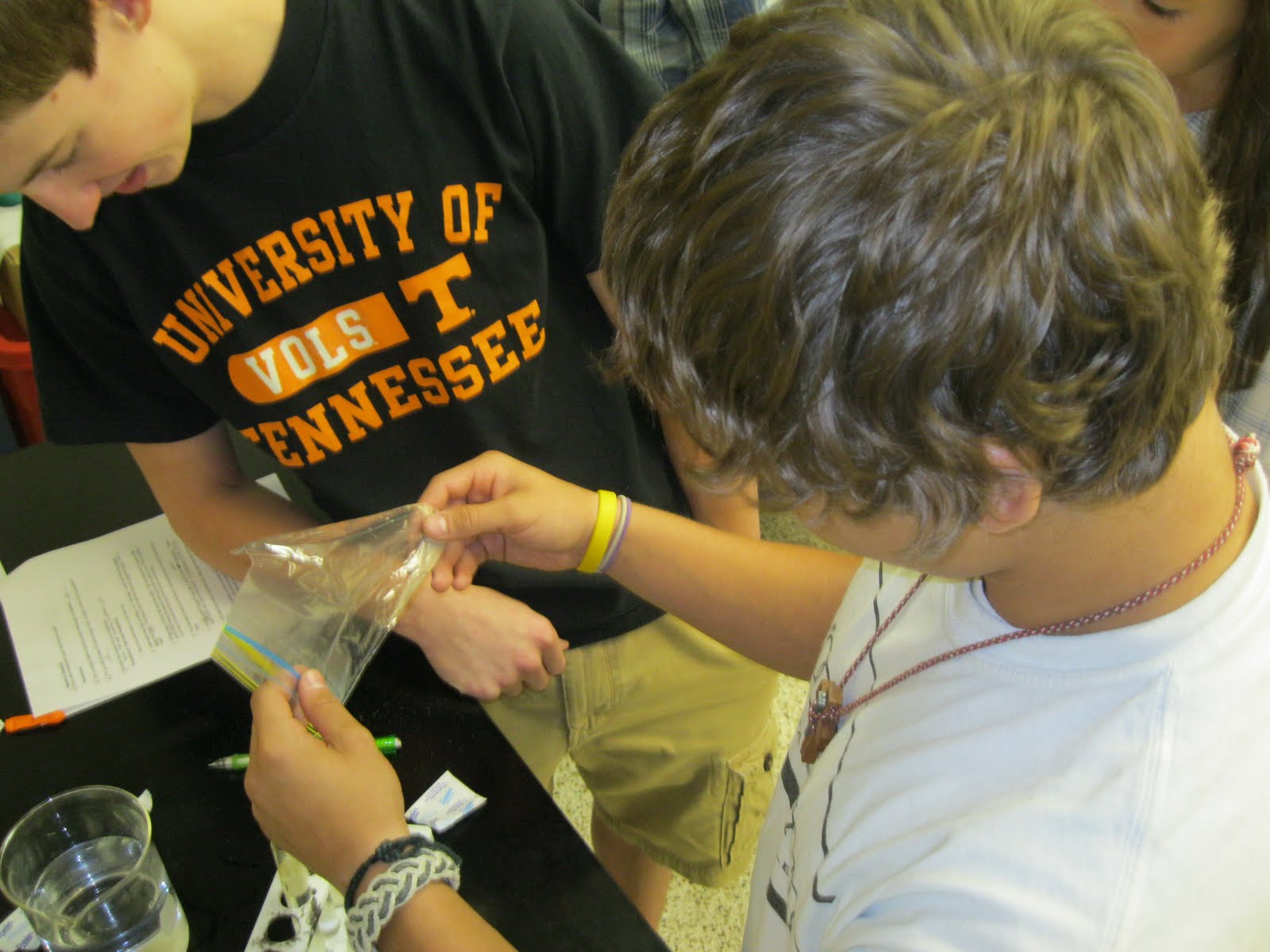 Mrs. Lawson's Biology Class: Yeast Fermentation Lab