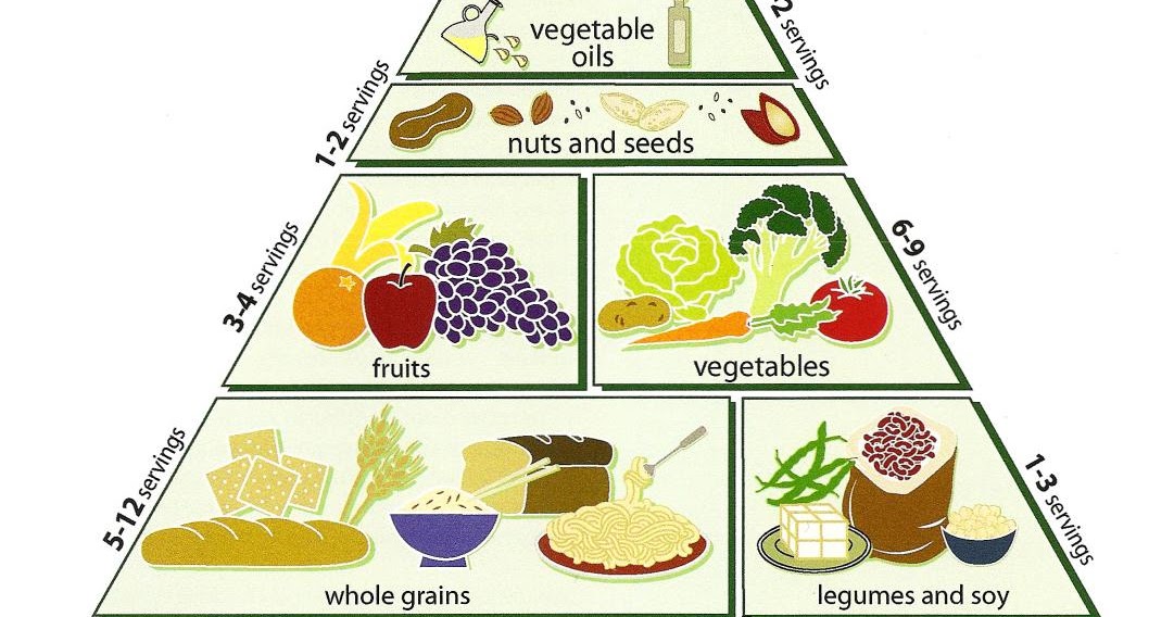The food Pyramid And Obesity for 3-week weight lose program - HAFR