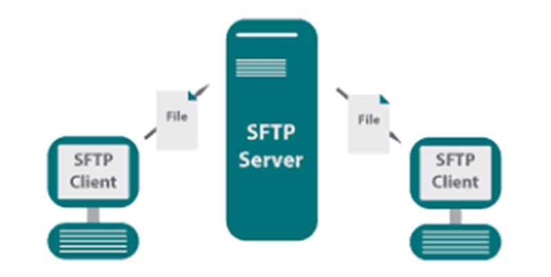 หุ่นยนต์ Raspberry Pi: การติดตั้งโปรแกรมถ่ายโอนไฟล์ SFTP Server