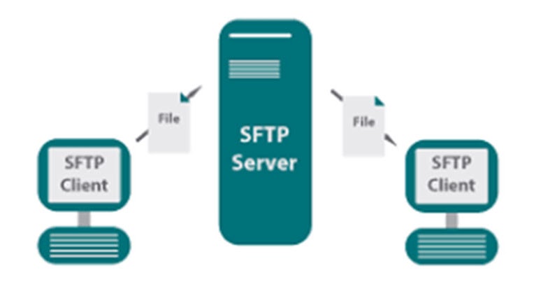 หุ่นยนต์ Raspberry Pi การติดตั้งโปรแกรมถ่ายโอนไฟล์ Sftp Server