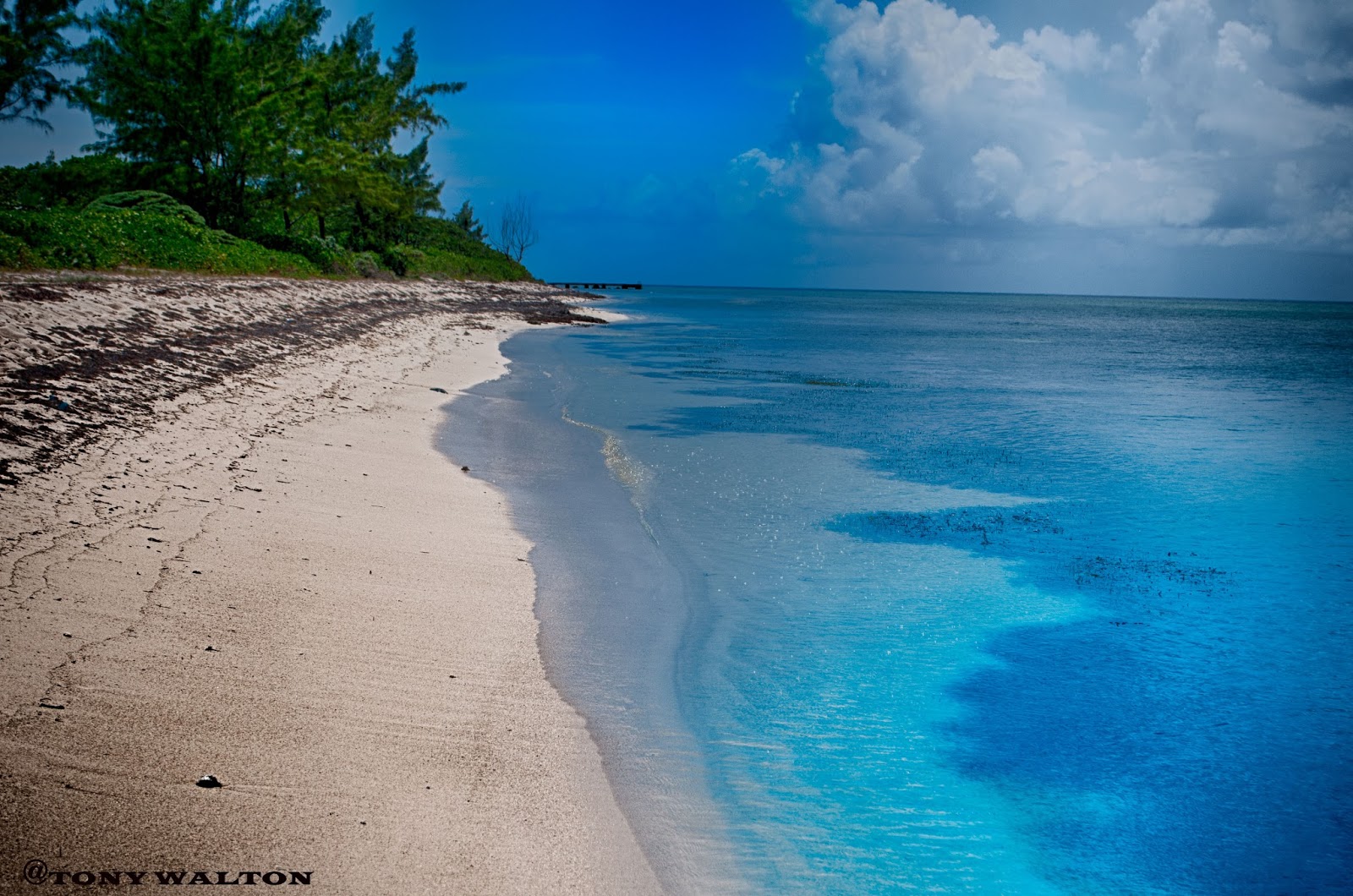 Tony Walton: A beach in the cayman islands with the ocean water in ...