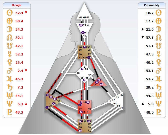 人類設計圖 Human Design: 淺談名人設計圖(9) 田蕊妮