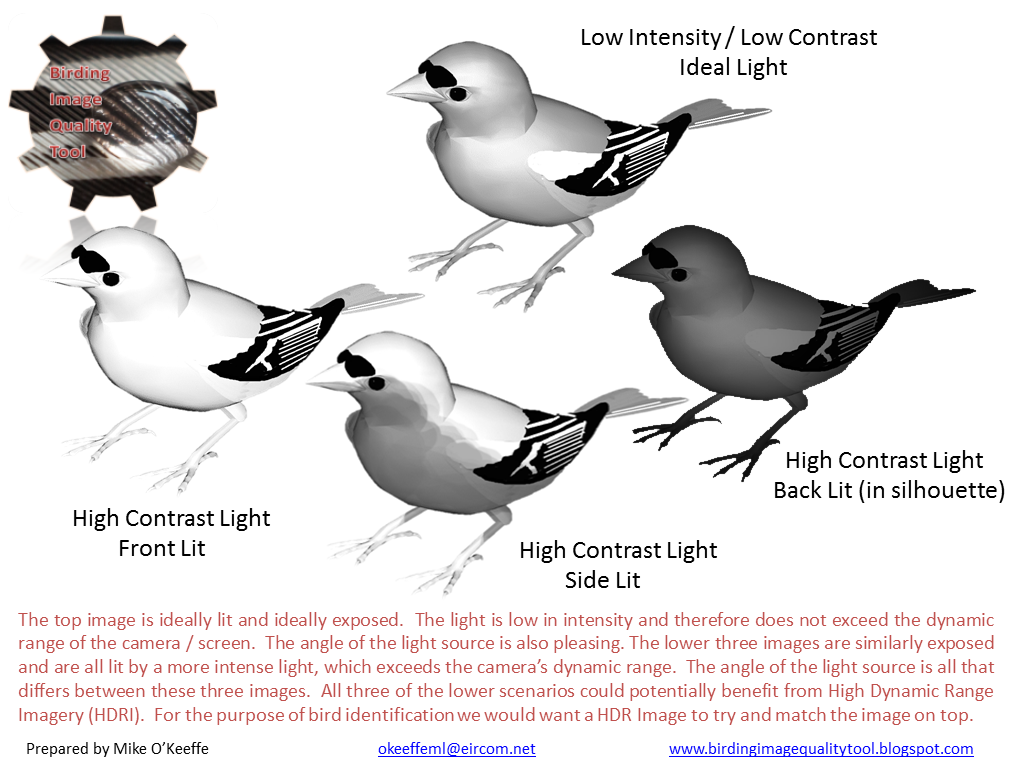 Birding Image Quality Tool: Forensics - High Dynamic Range Imaging (HDRI)