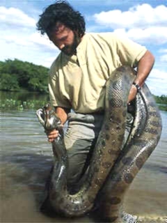 Ophidiophilia: Man-Eating Snakes