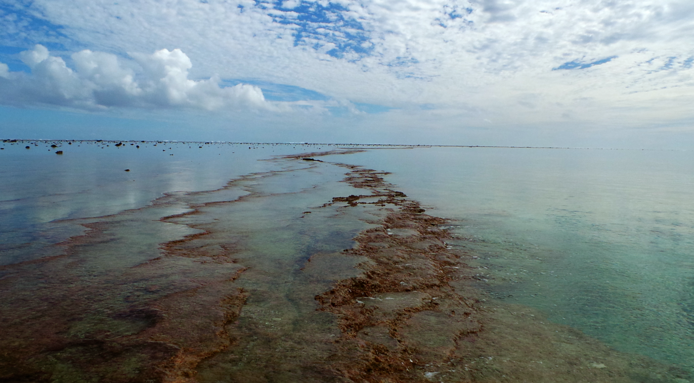 Sailing Amélie : Minerva Reef- Amazing how quickly one forgets…..