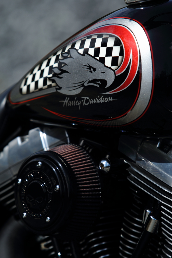 biker excalibur II: 2008 Harley Davidson Dyna Street Bob - Custom Paint