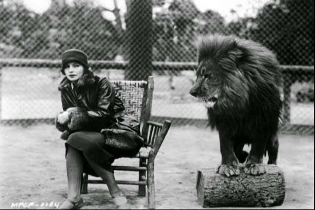 Incredible Behind the Scenes Photos From the Making of the MGM Lion ...