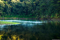 Pandora: The Wawa Dam Lady