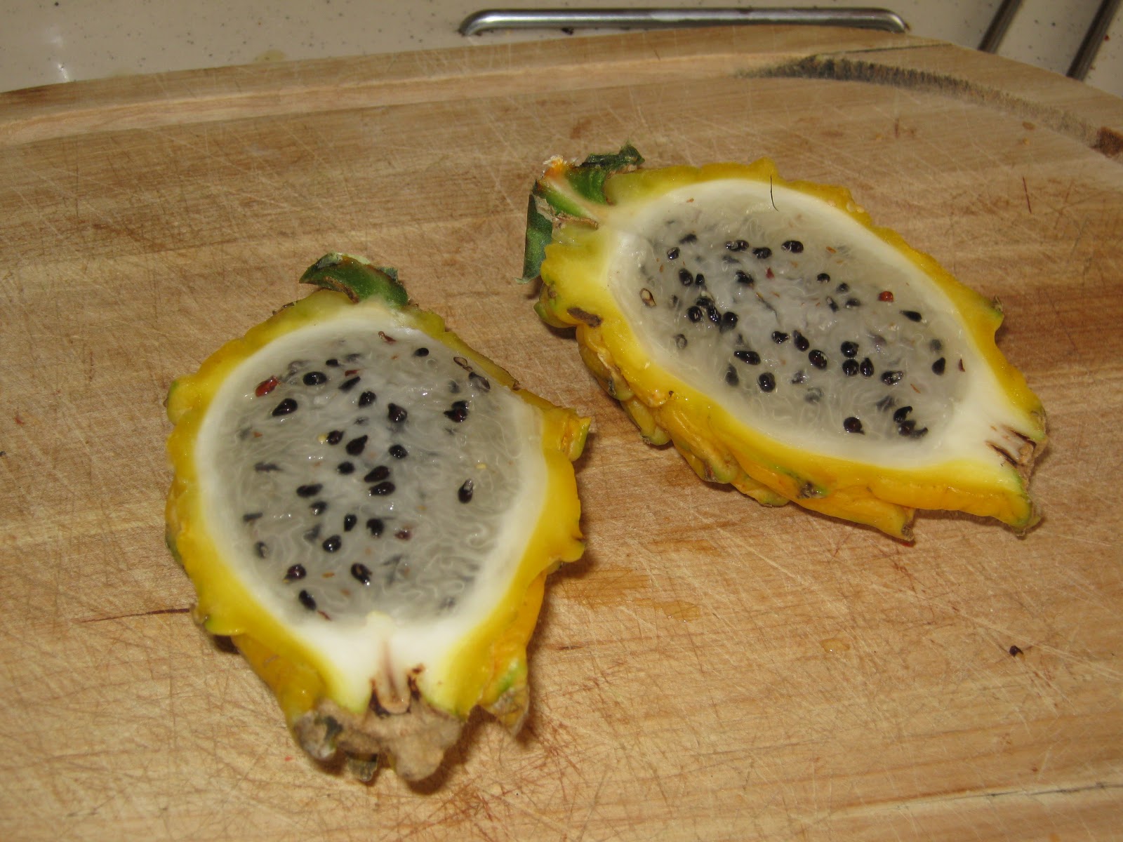 Petra and Uwe in Ecuador: Exploring New Fruits of Ecuador