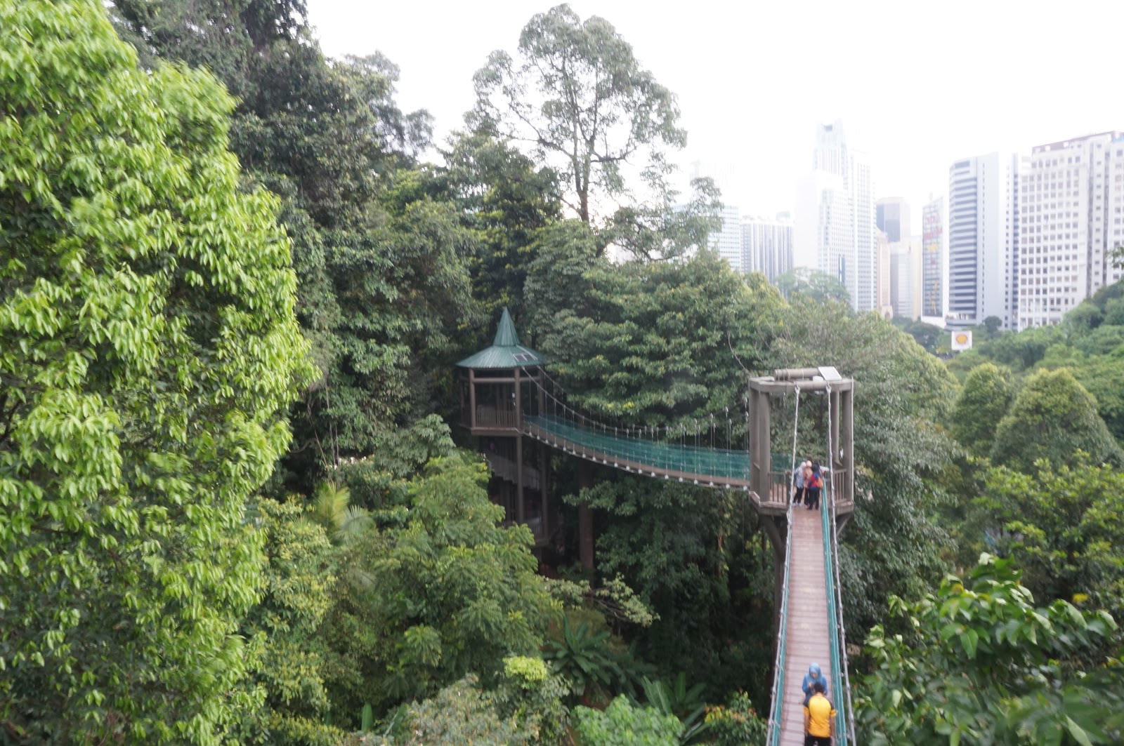 Bersiar-siar ke Taman Eco Rimba KL, Bukit Nenas - Azwar Syuhada