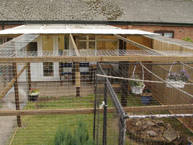 Its A Grand Blog: Building the BIG outdoor cat run