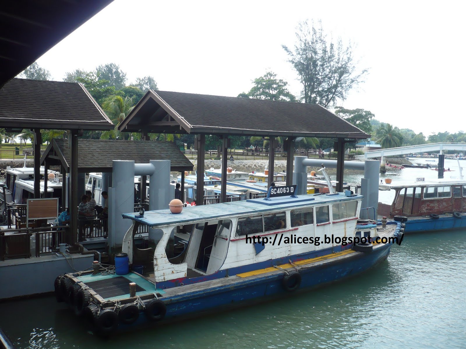 Alicesg-Singaporemyhome: Skywatch Friday - Taking the ferry to Pulau Ubin