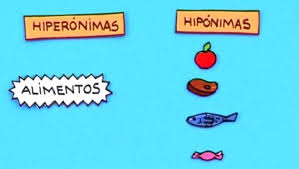 Lengua y Literatura 1º ESO: HIPERÓNIMOS E HIPÓNIMOS