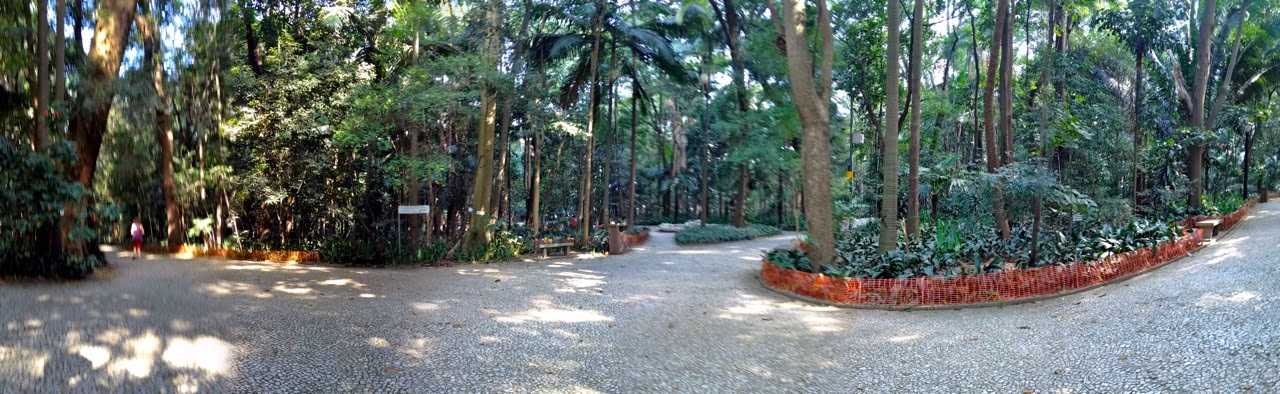 Parque Trianon ou Tenente Siqueira Campos em São Paulo ~ Áreas Verdes ...