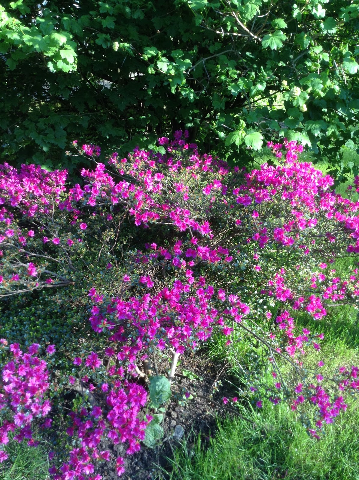 Timeless Traditions: Visiting Normandy.....