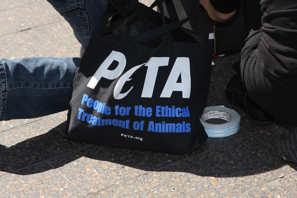 Celebrity News Media: PETA 'Fur Is Dead' coffin stunt aimed at Armani ...