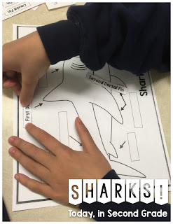 Shark Attack! - Today in Second Grade