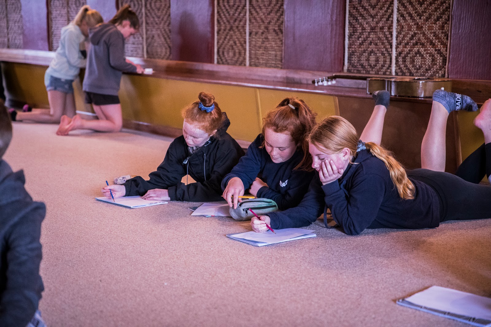 Room 8 - Halcombe School: 2019