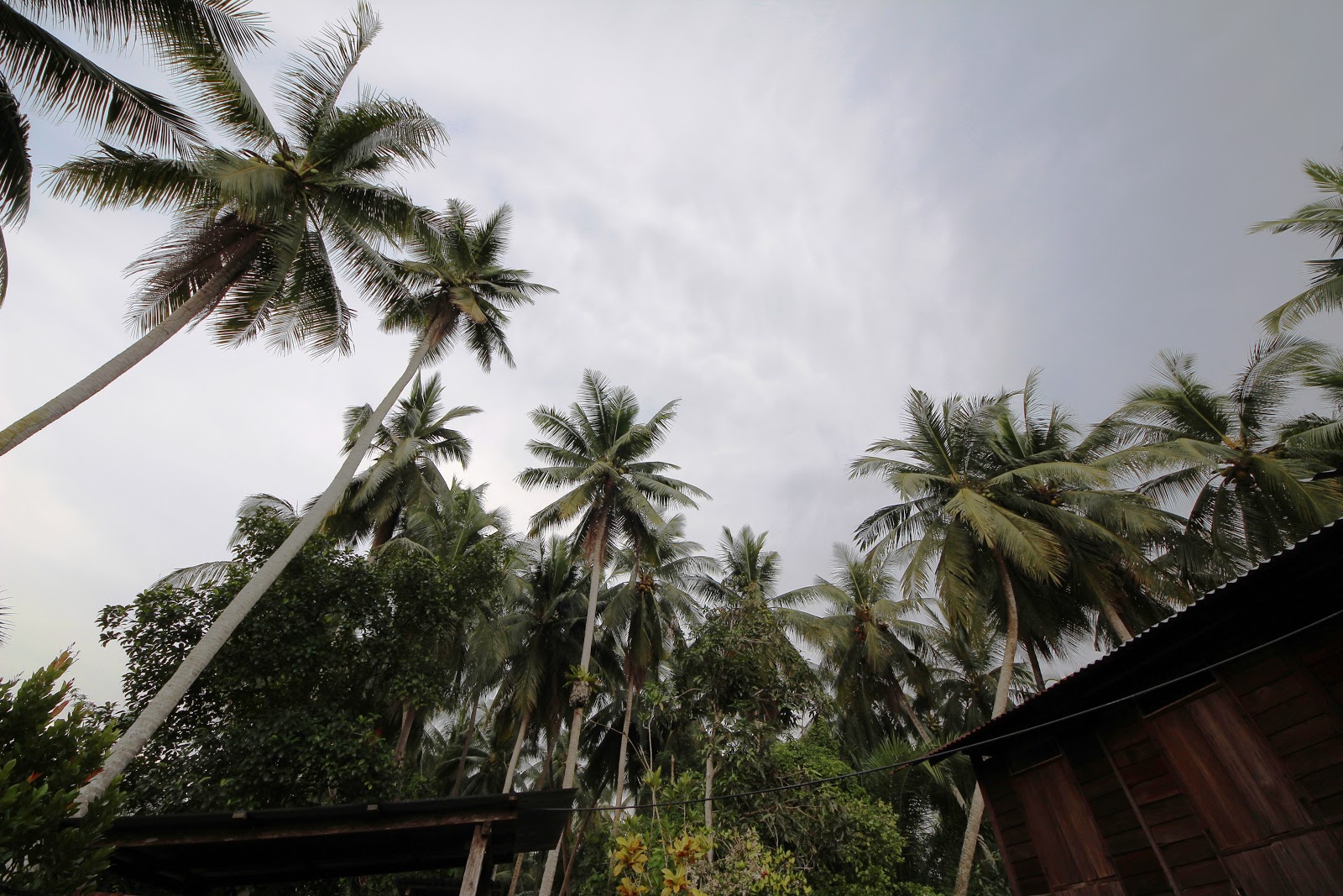 N U K I L A N: DARIPADA MENYEPI, CERITALAH TINGGI RENDAH