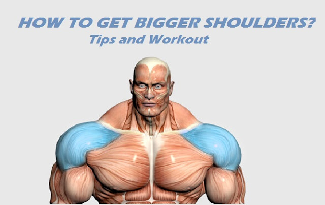 Muscle Palace: How To Get Bigger Shoulders - Tips and Shoulder Workout ...