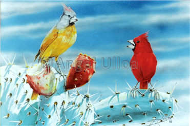 Angel Ulloa: Aves de Venezuela