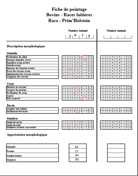 Izzie d'être belle !: Le pointage d'Izzie