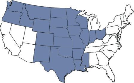 Insurance World: AIA Insurance