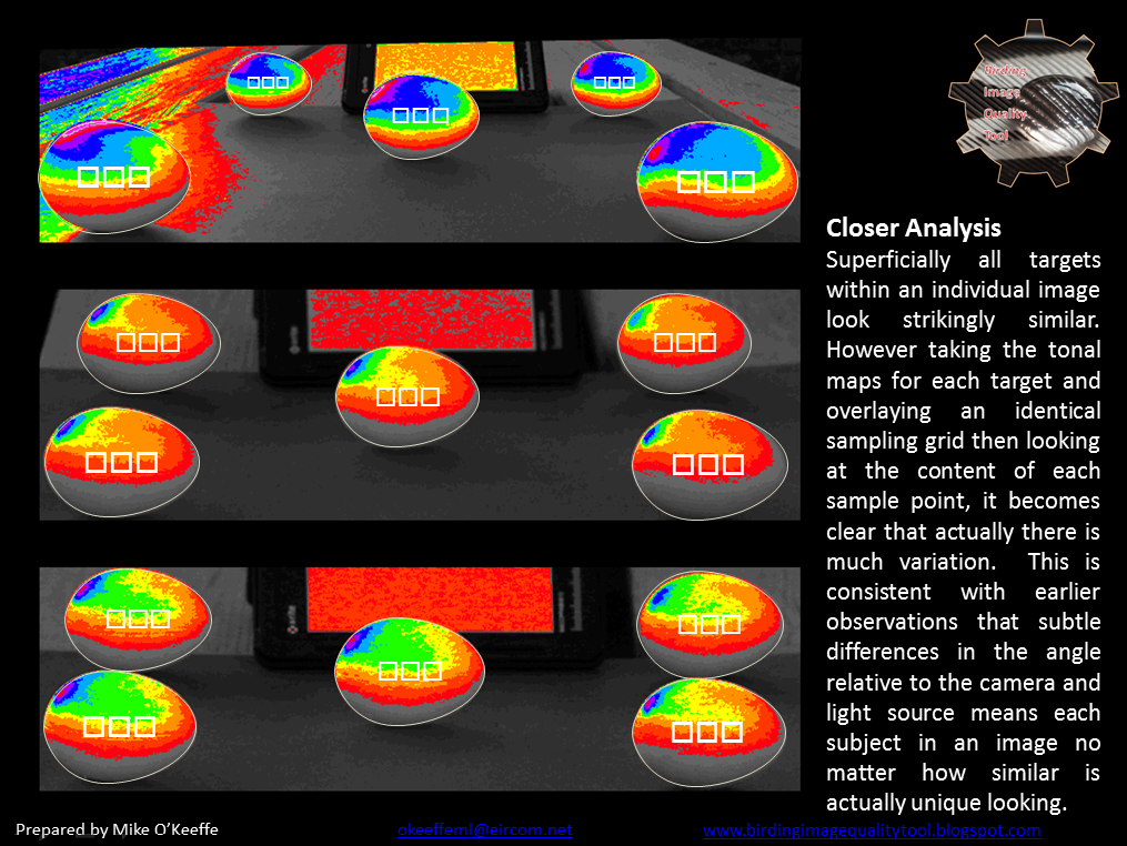 Birding Image Quality Tool: Human Bias - Tonal Gradient Illusions