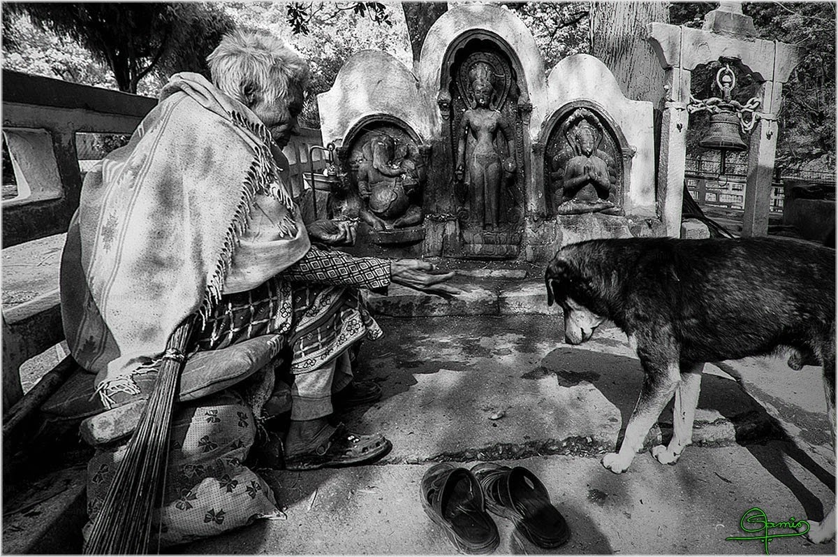 Samir Pradhananga Photography: Balaju 22 Dhara Park Photo Walk & Monkey ...